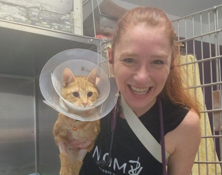 Resources for Veterinary Students | Not One More Vet | NOMV
